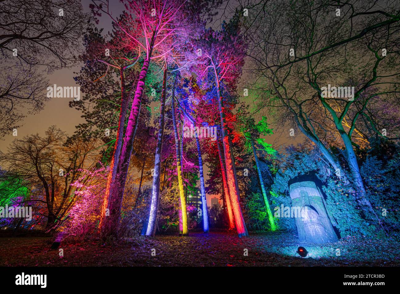 January 25 2024 christmas hi-res stock photography and images - Alamy