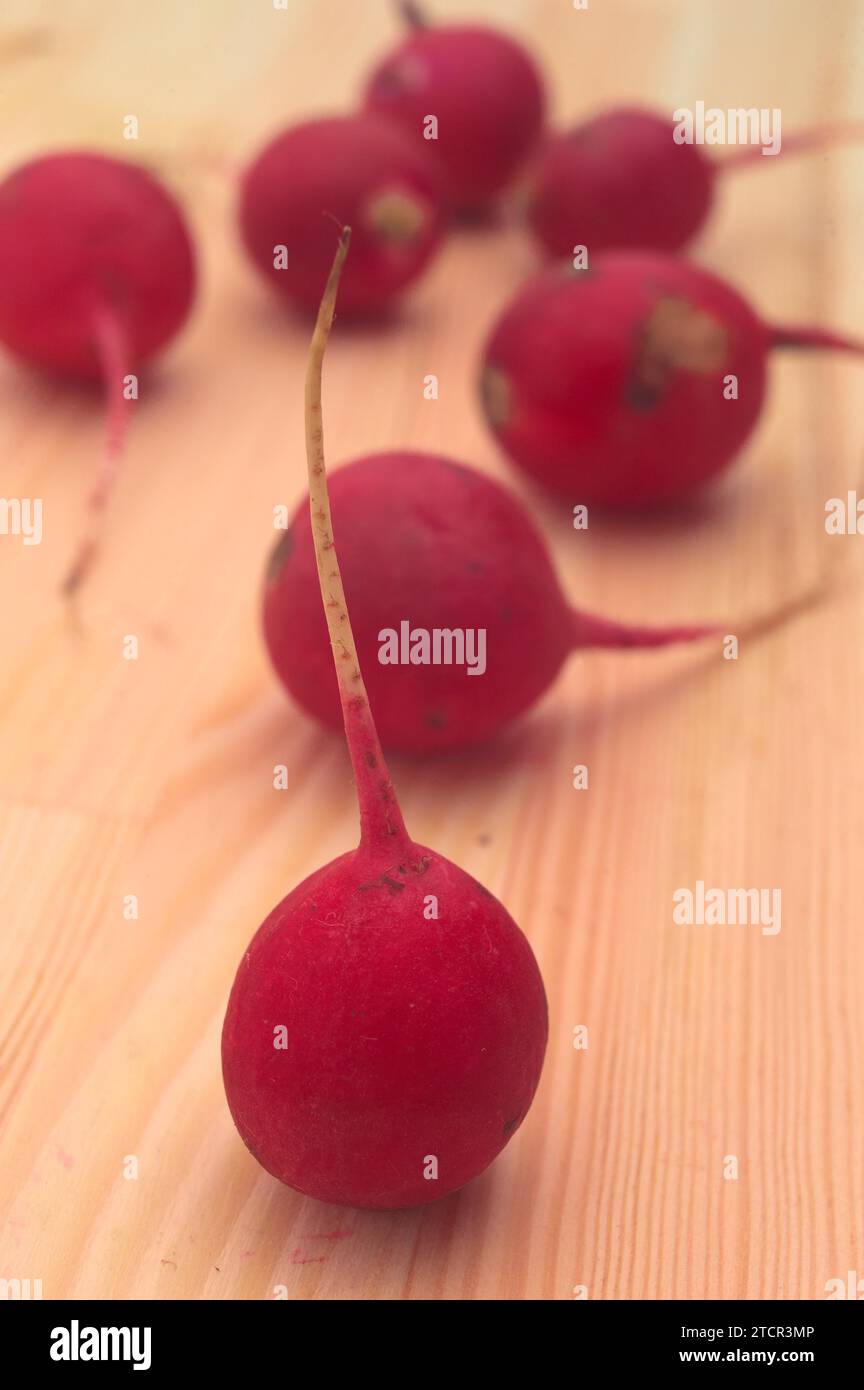 Fresh red raw raddish over pine wood table closeup Stock Photo - Alamy