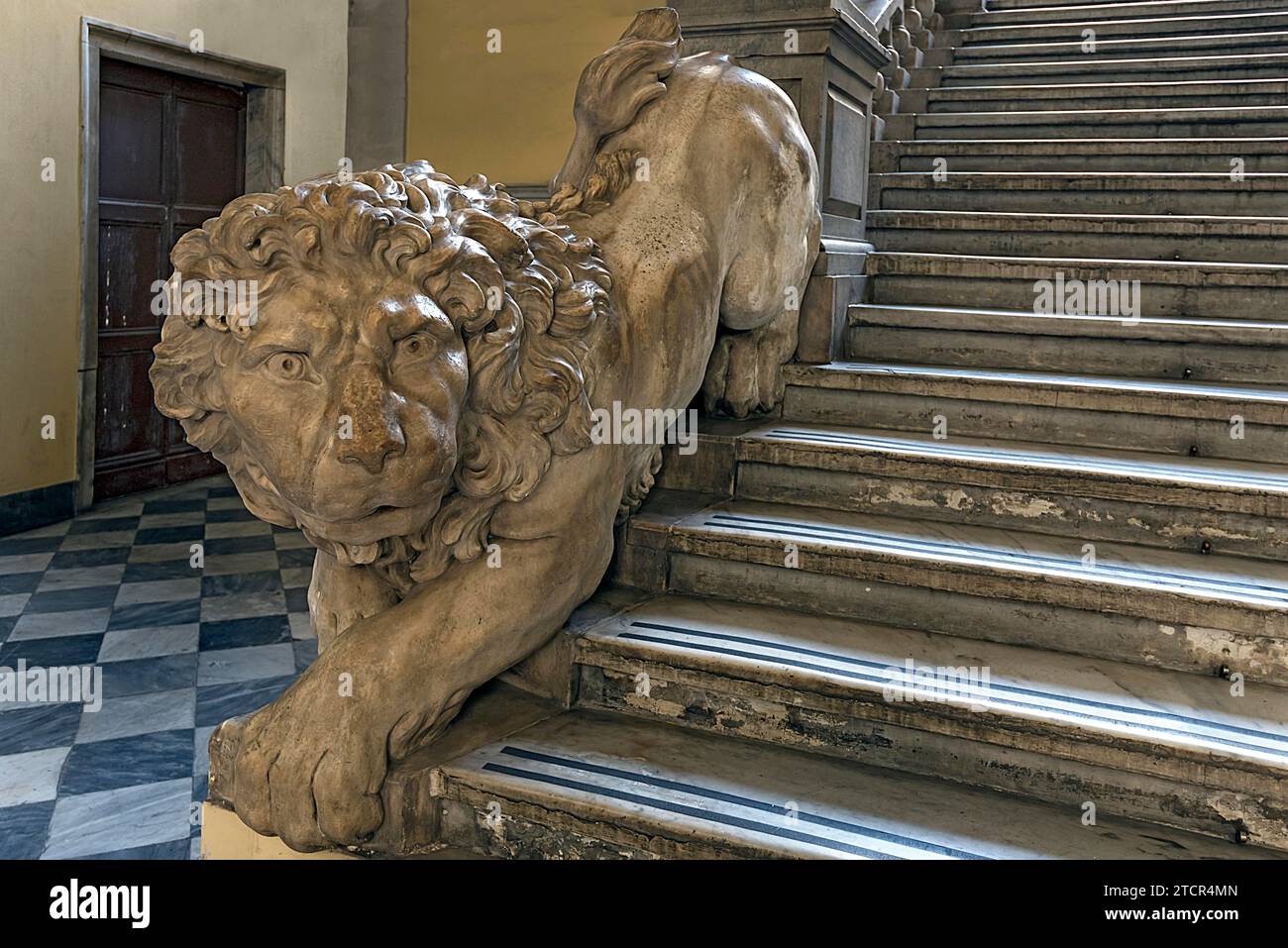 Lion sculpture on the staircase of a former palazzo, now a university ...