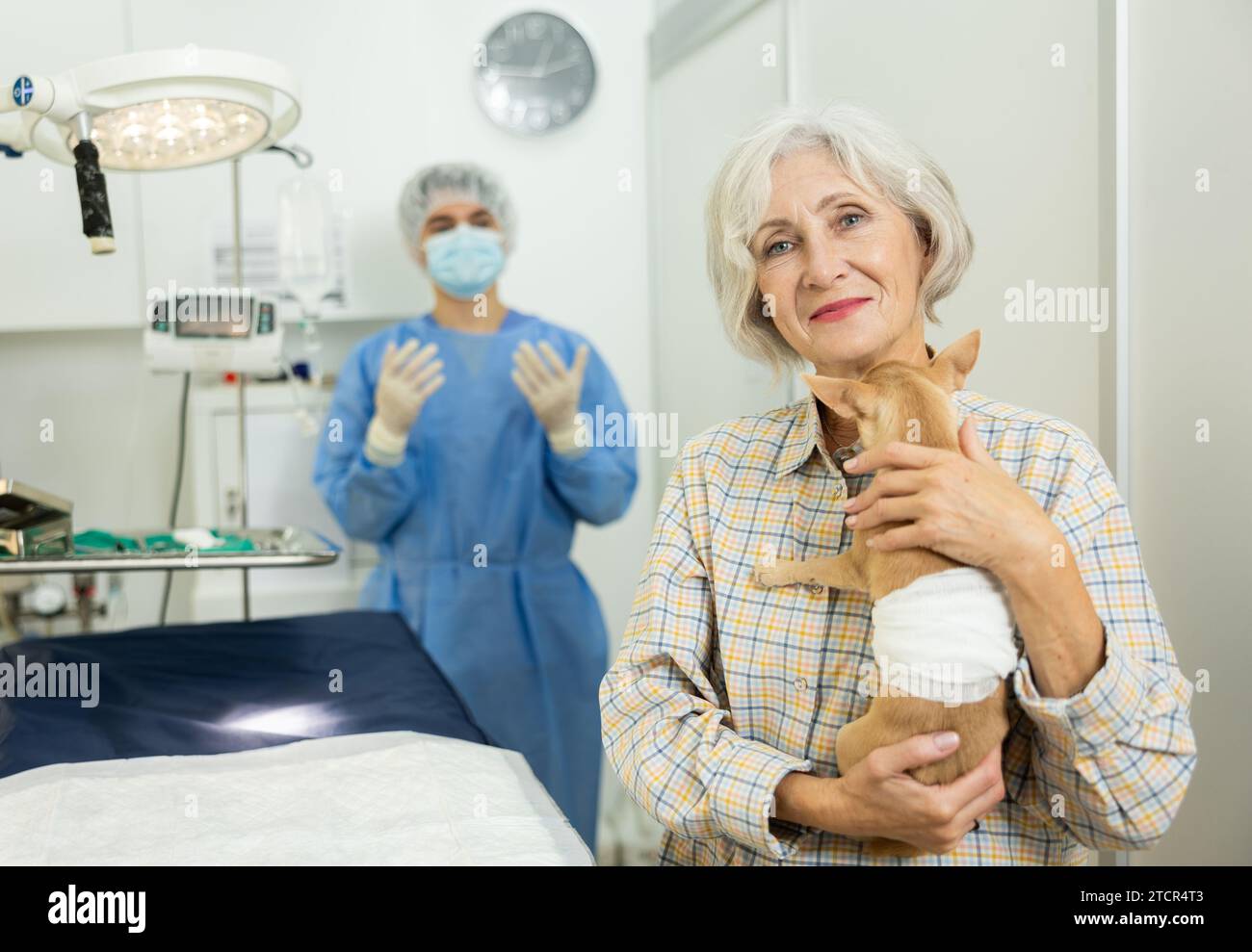 Consulting room in veterinary hi-res stock photography and images - Alamy