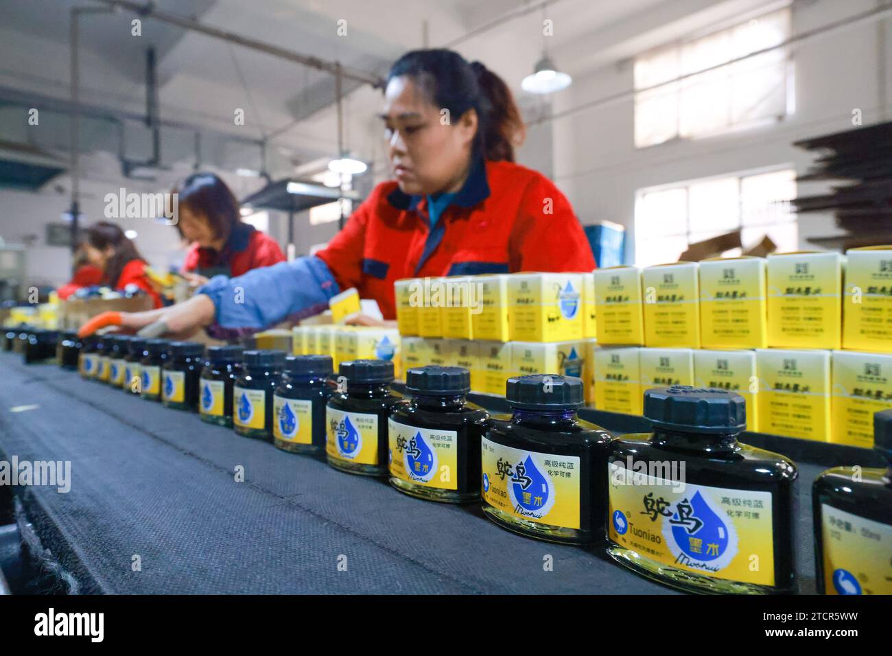 Tianjin, China. 12th Dec, 2023. Workers are seen on a production line ...