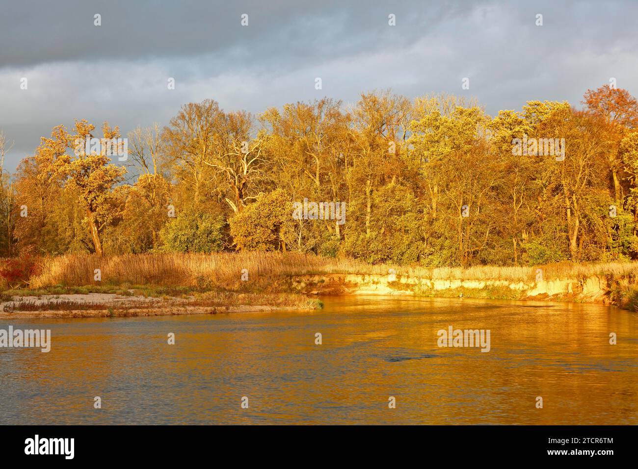 Autumn in the floodplain, view of a river gravel bank and steep banks ...