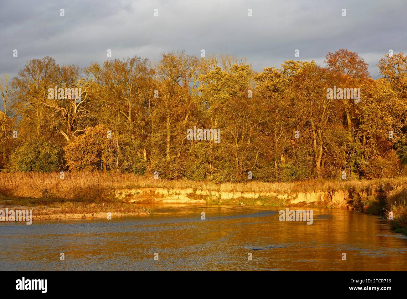 Autumn in the floodplain, view of a river gravel bank and steep banks ...