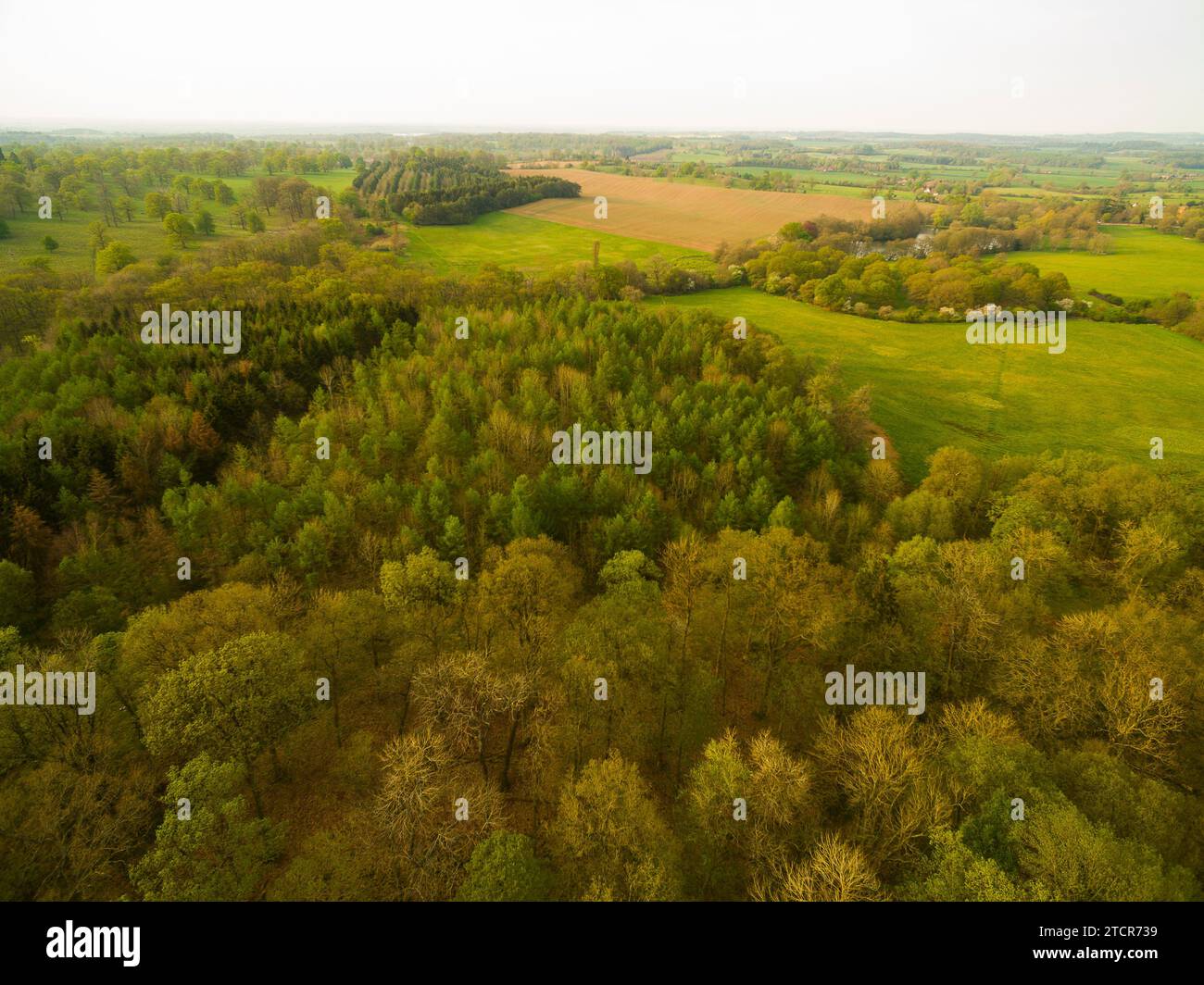 Aerial view of forest next to a ploughed field in rural North ...