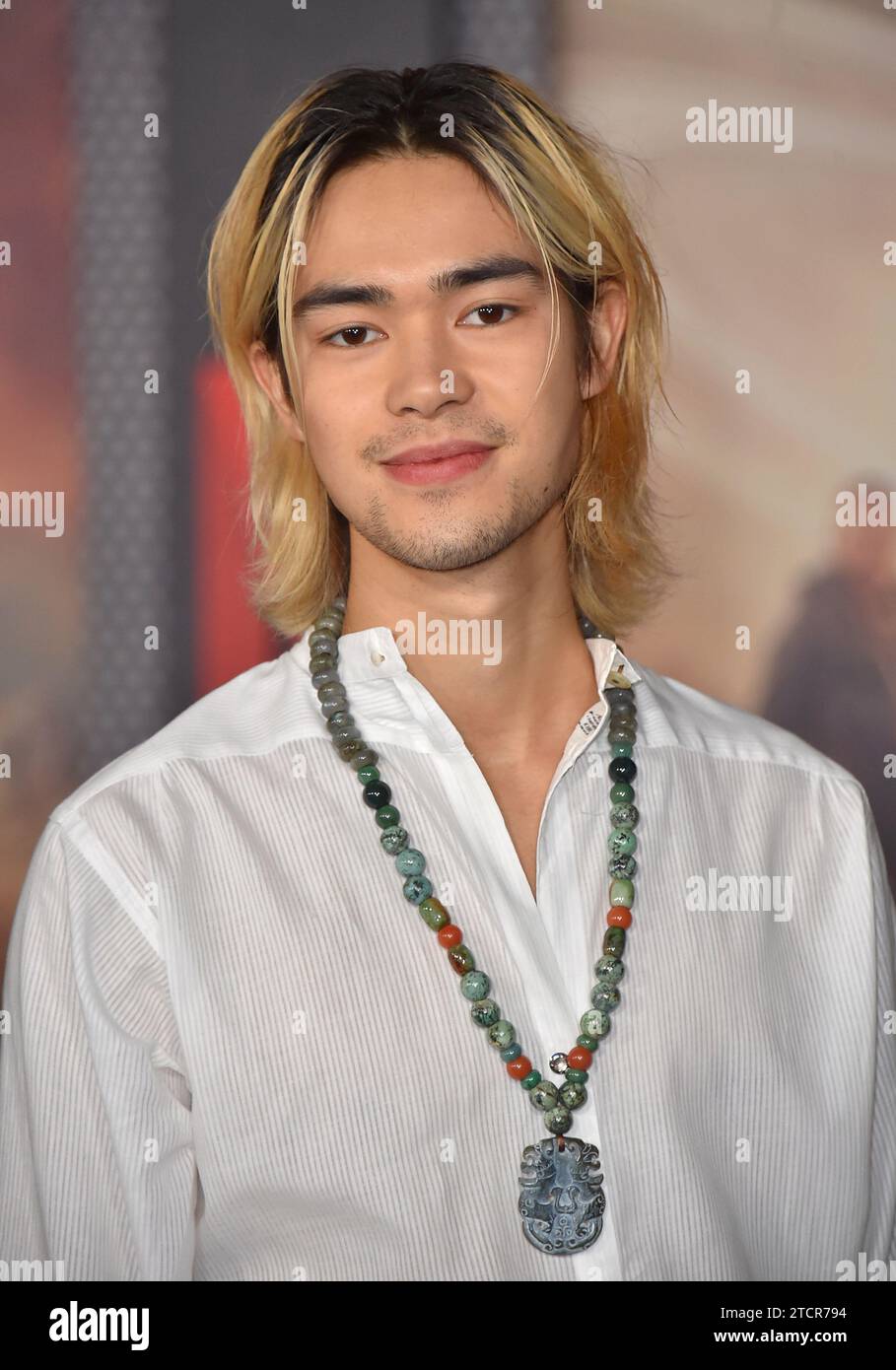 Sky Yang attends the premiere of "Rebel Moon - Part One: A Child of ...