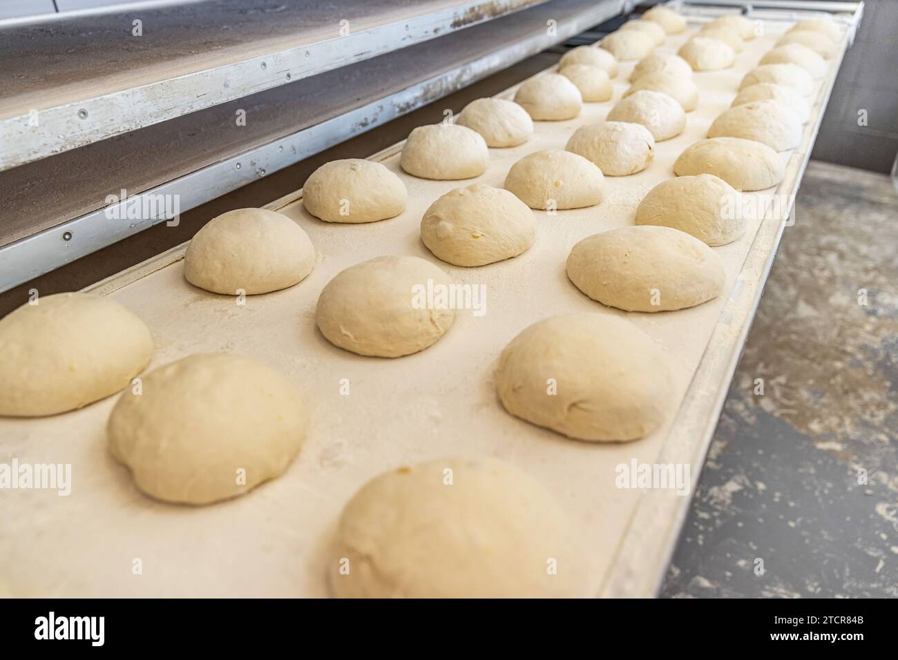 Ball dough on the production line in row arrangement. Bread factory ...
