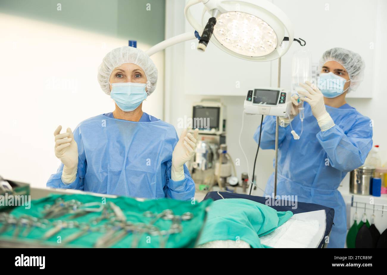 Aged female veterinarian ready to conduct surgical operation at ...