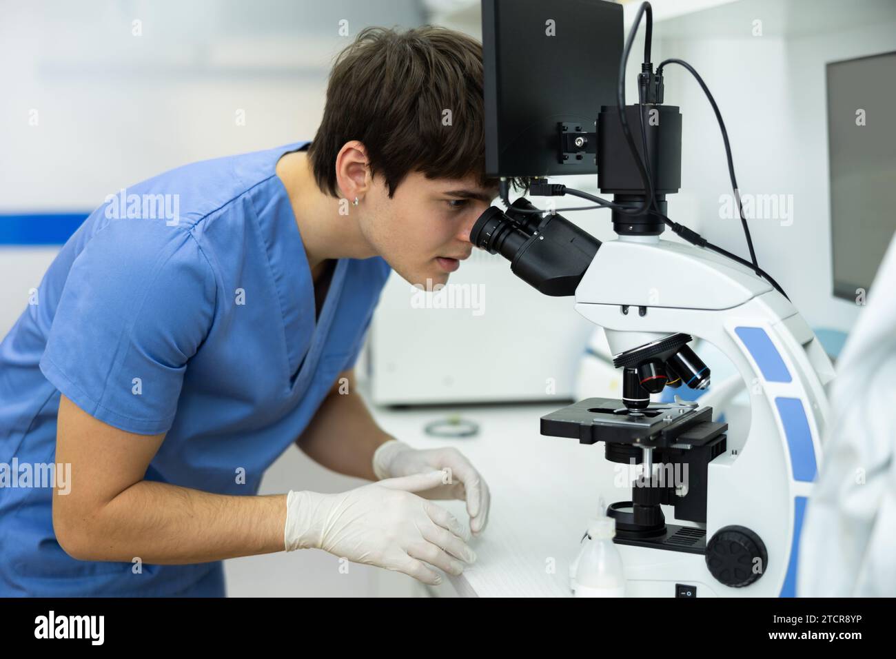 Young veterinarian using microscope to examine blood samples of animal ...