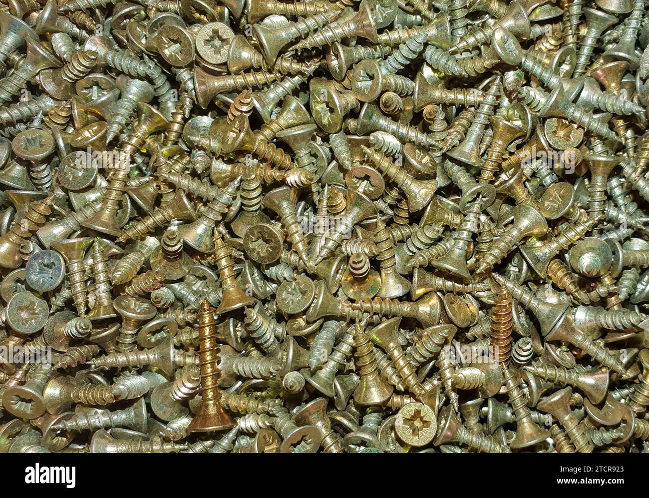 A close-up with many steel screws for wood Stock Photo - Alamy