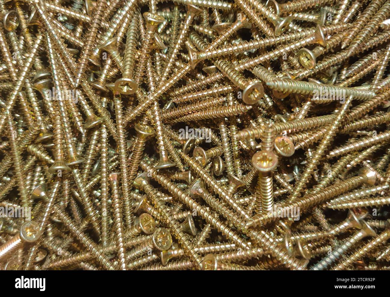 A close-up with many steel screws for wood Stock Photo - Alamy