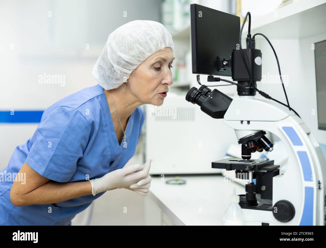 Female veterinary microscopist examining blood samples of animal ...