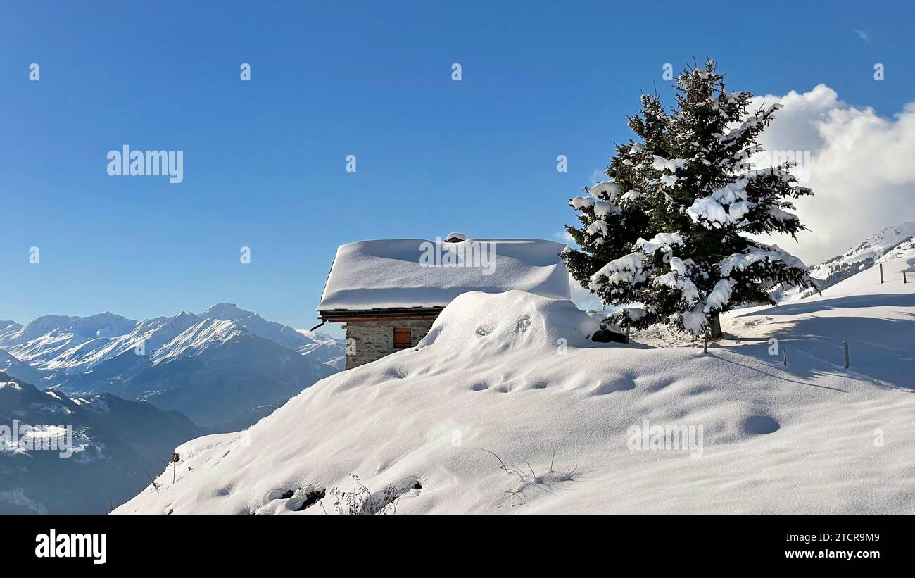 roof of an alpine chalet covered with fresh snow with view on peak ...