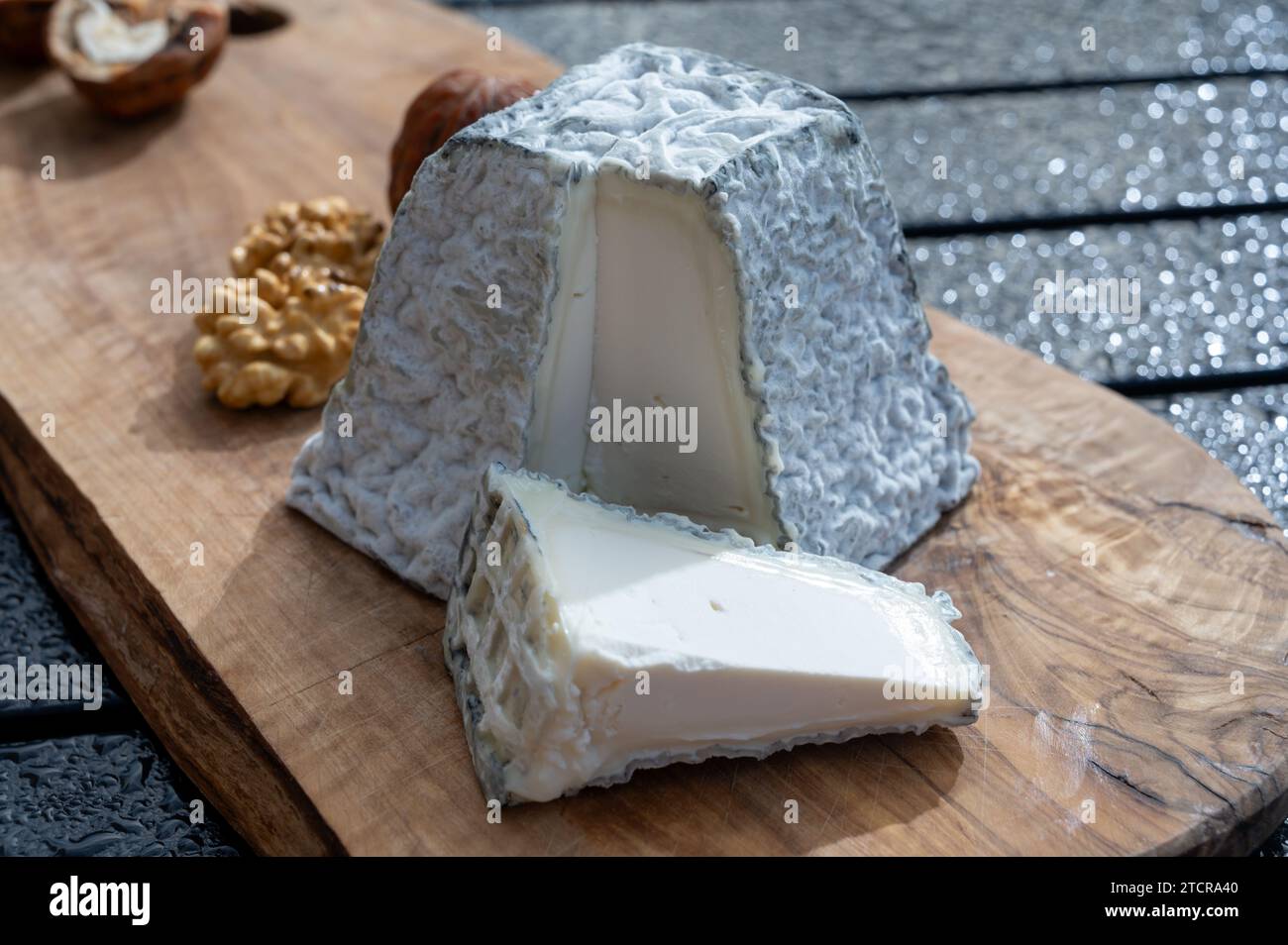 Cheese collection, French Valencay with black mold pyramid cheese made ...