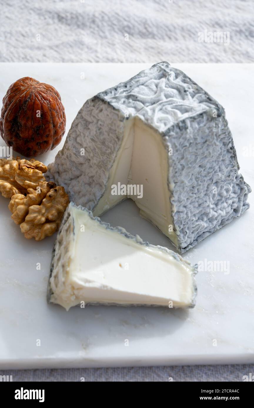 Cheese collection, French Valencay with black mold pyramid cheese made ...