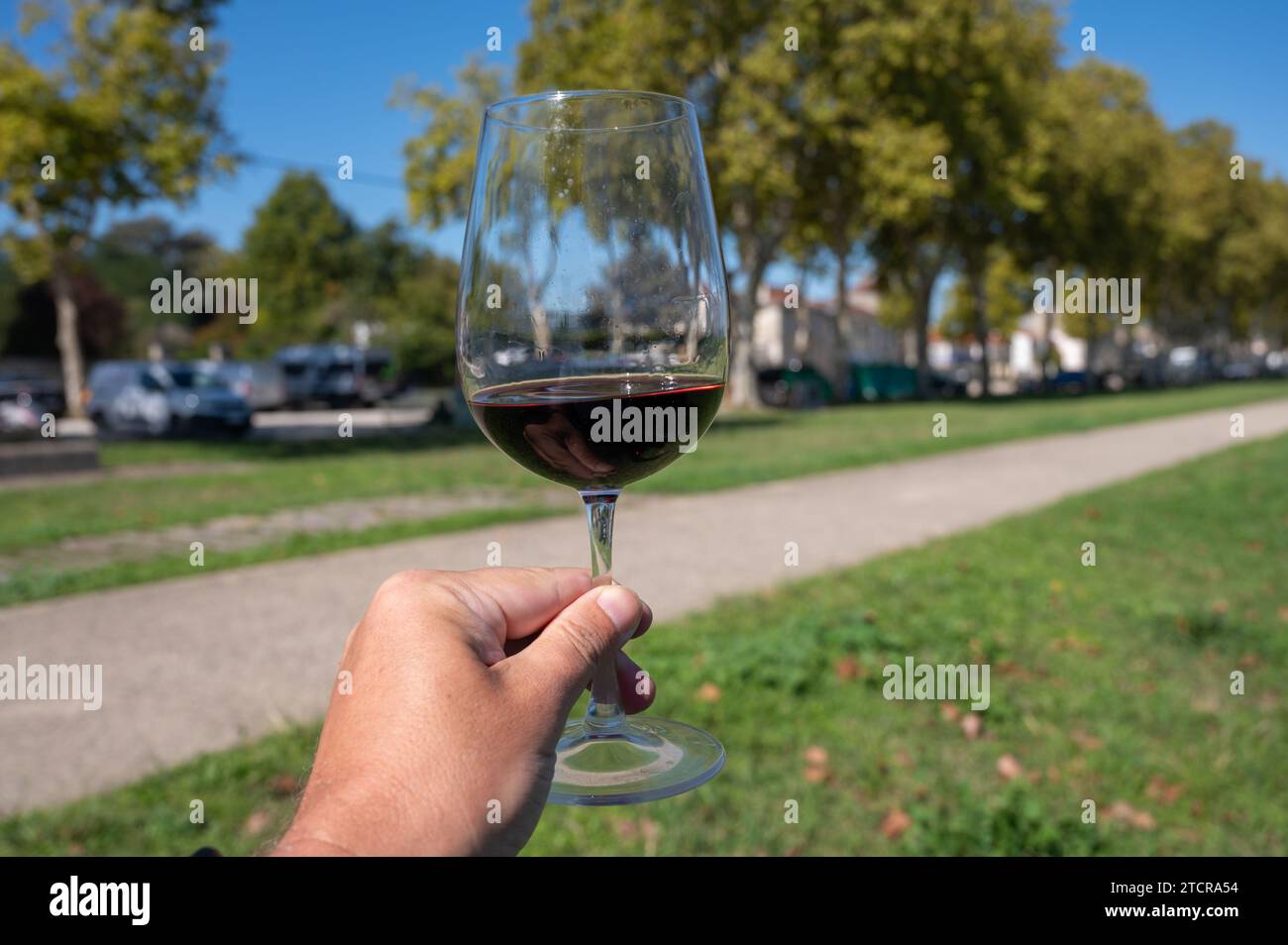 Red dry Bordeaux wine tasting in wine making Pauillac village, Haut ...