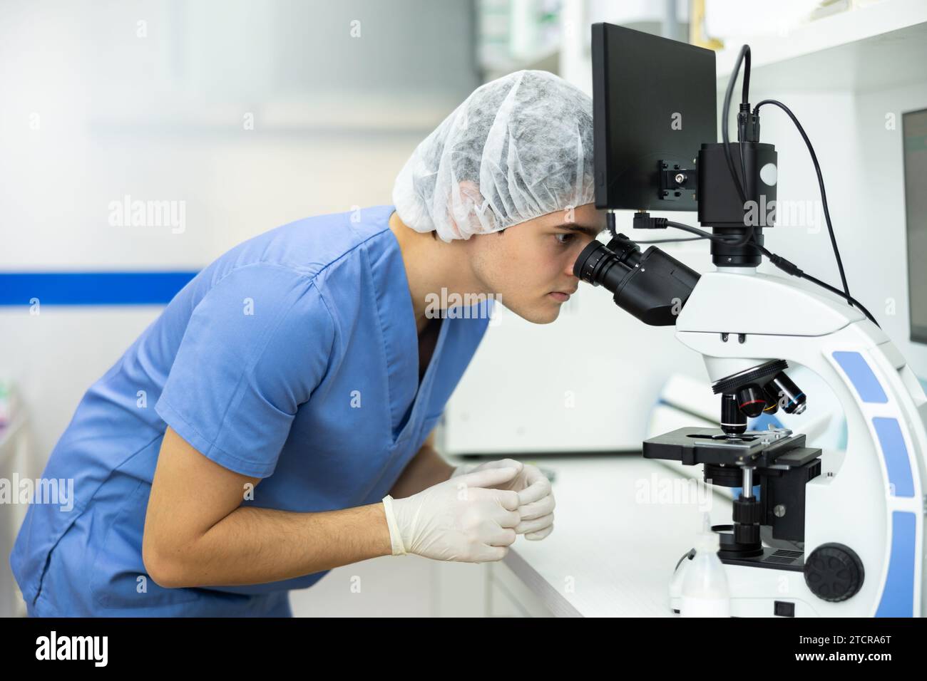 Young veterinarian examining samples under microscope in veterinary ...