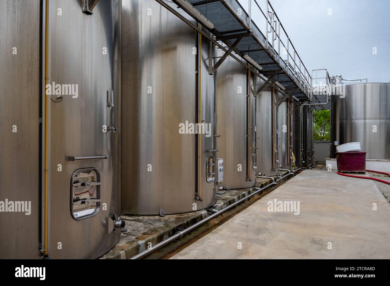 Works at distillery. Harvest time in Cognac white wine region, Charente ...