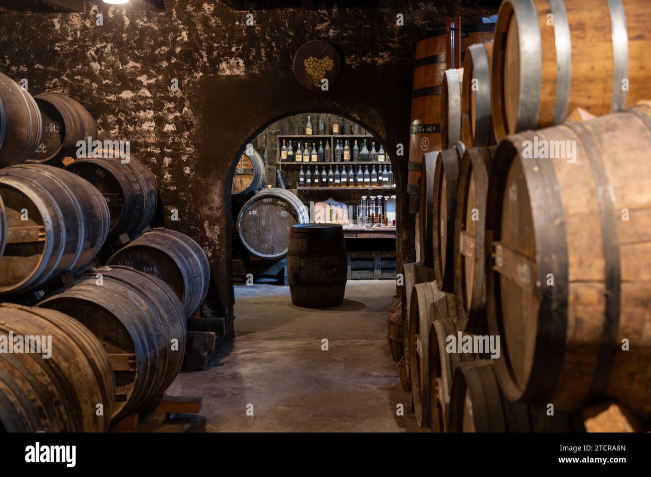 Aging process of cognac spirit in old dark French oak barrels in cellar ...