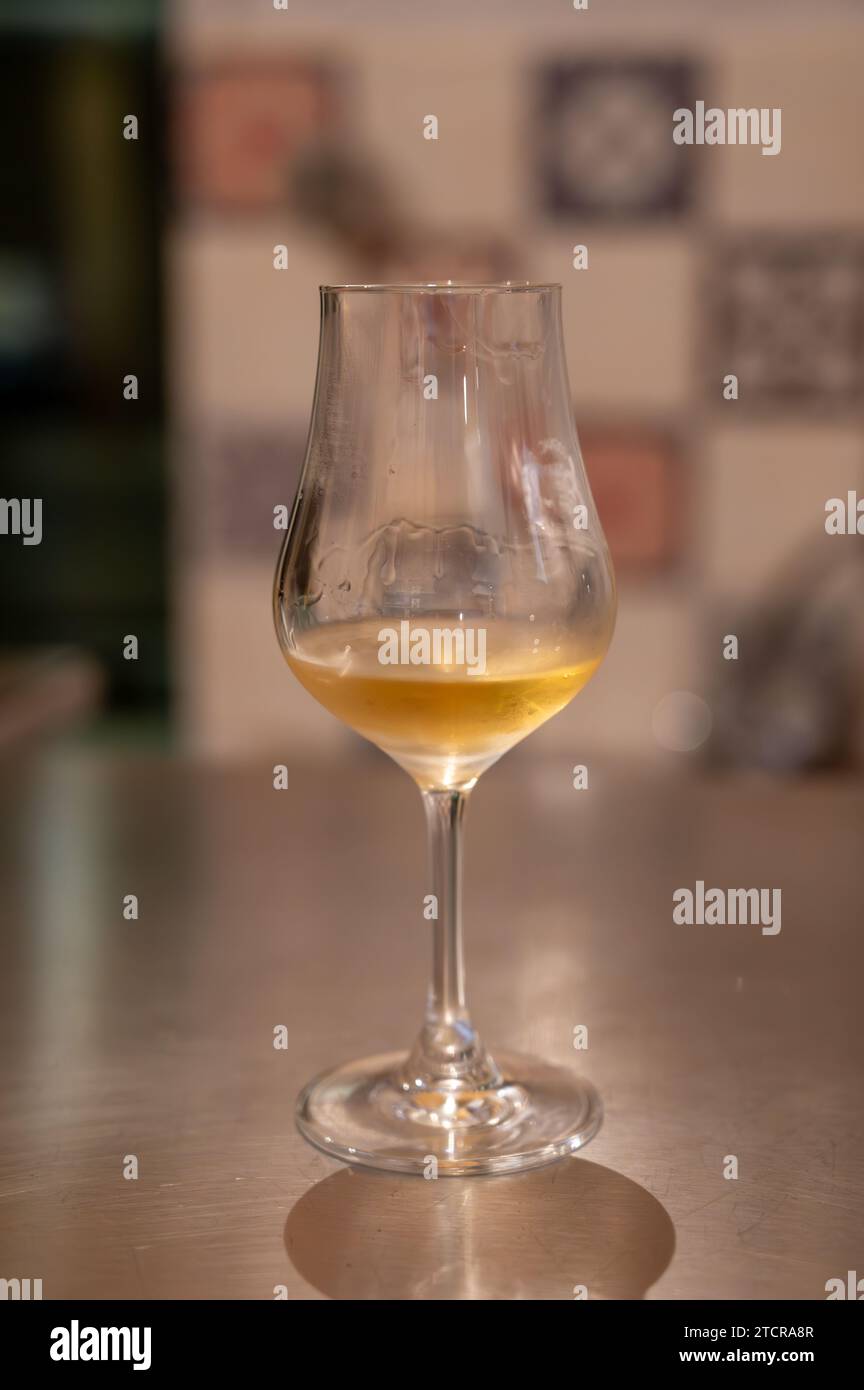 Tasting of cognac spirit aged in old dark French oak barrels in cellar ...