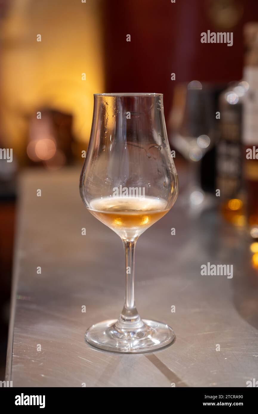 Tasting of cognac spirit aged in old dark French oak barrels in cellar ...