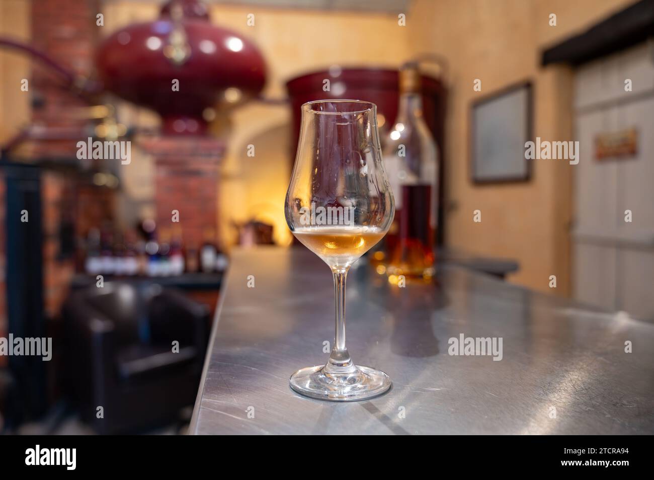 Tasting of cognac spirit aged in old dark French oak barrels in cellar ...