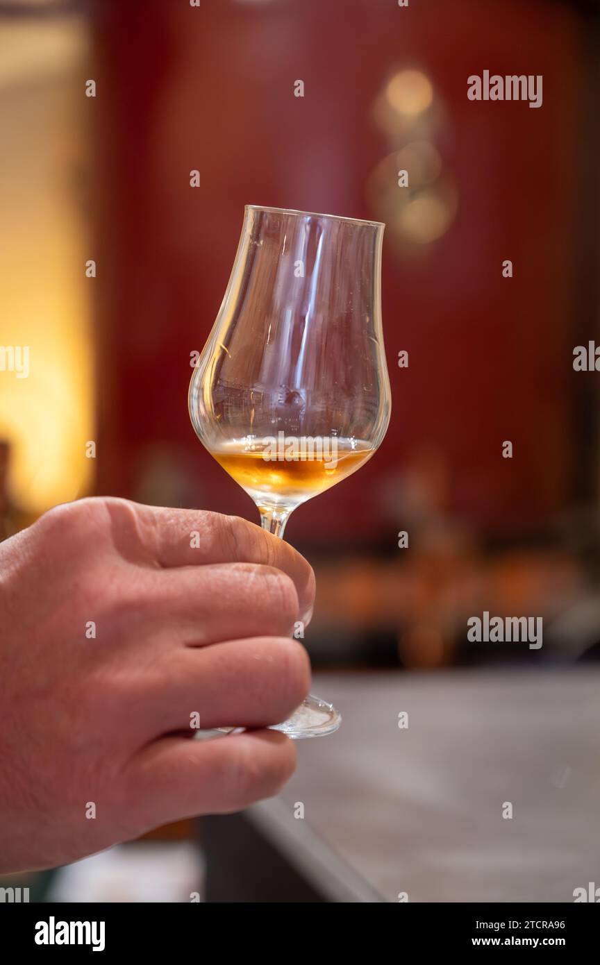 Tasting of cognac spirit aged in old dark French oak barrels in cellar ...