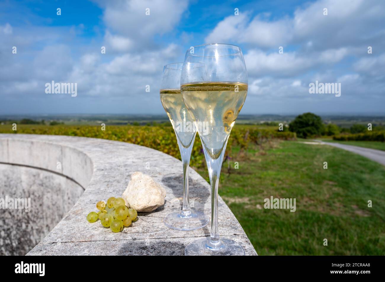 Tasting of grand cru sparkling white wine with bubbles champagne on ...