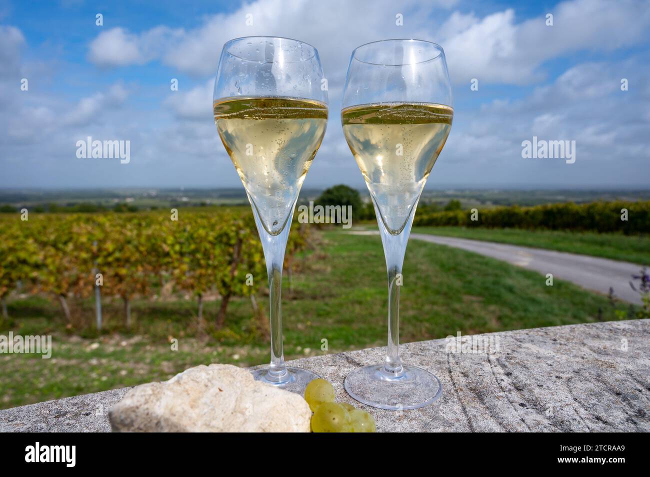 Tasting of grand cru sparkling white wine with bubbles champagne on ...