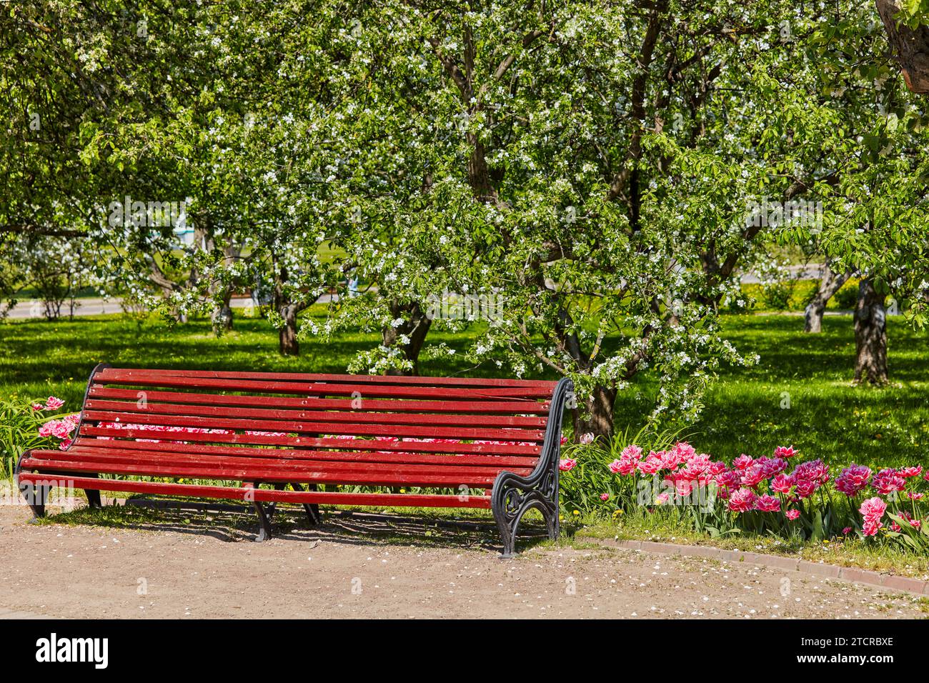 Park bench under blossoming apple trees in Kolomenskoye estate. Moscow ...