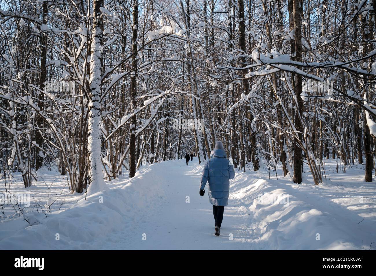 People walk in Bitsevski Park (Bitsa Park) on a sunny winter day ...