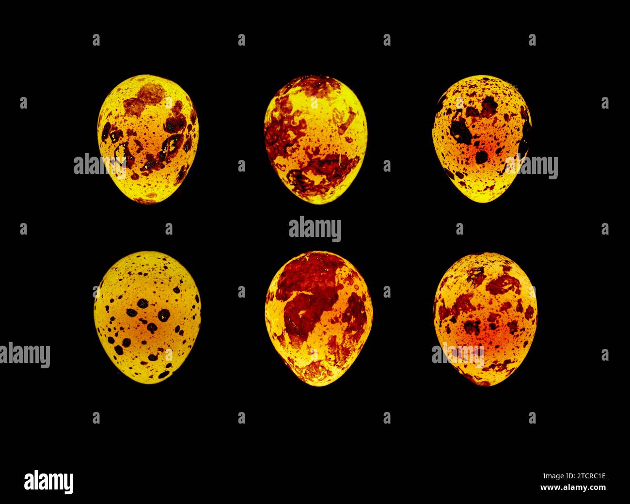 Luminous objects hi-res stock photography and images - Alamy