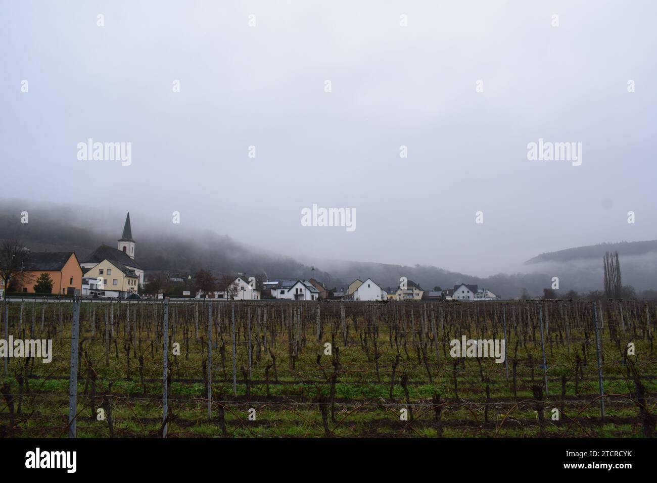 Ensch an der mosel hi-res stock photography and images - Alamy