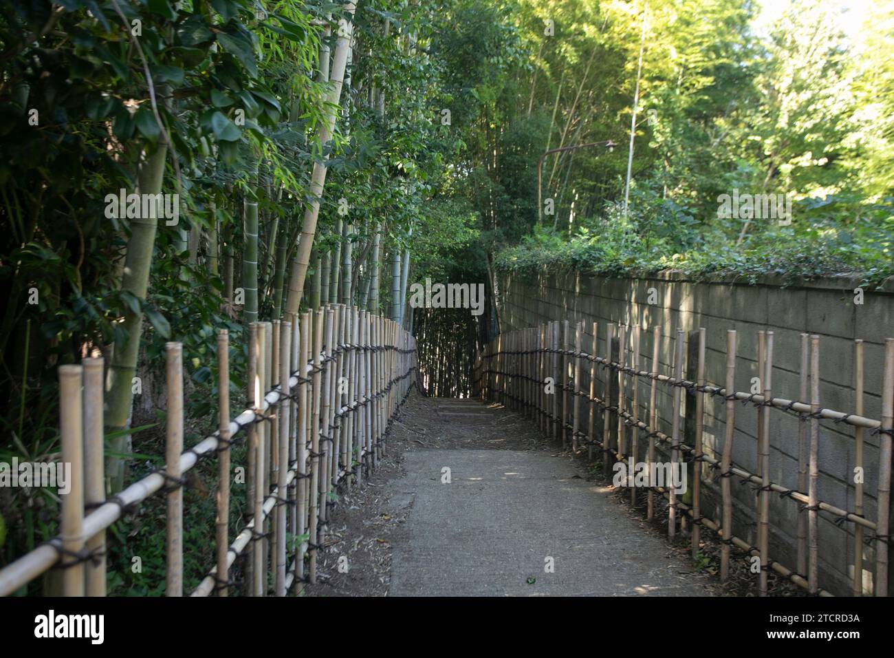Old samurai road in the middle of a bamboo forest in Sakura, Japan ...