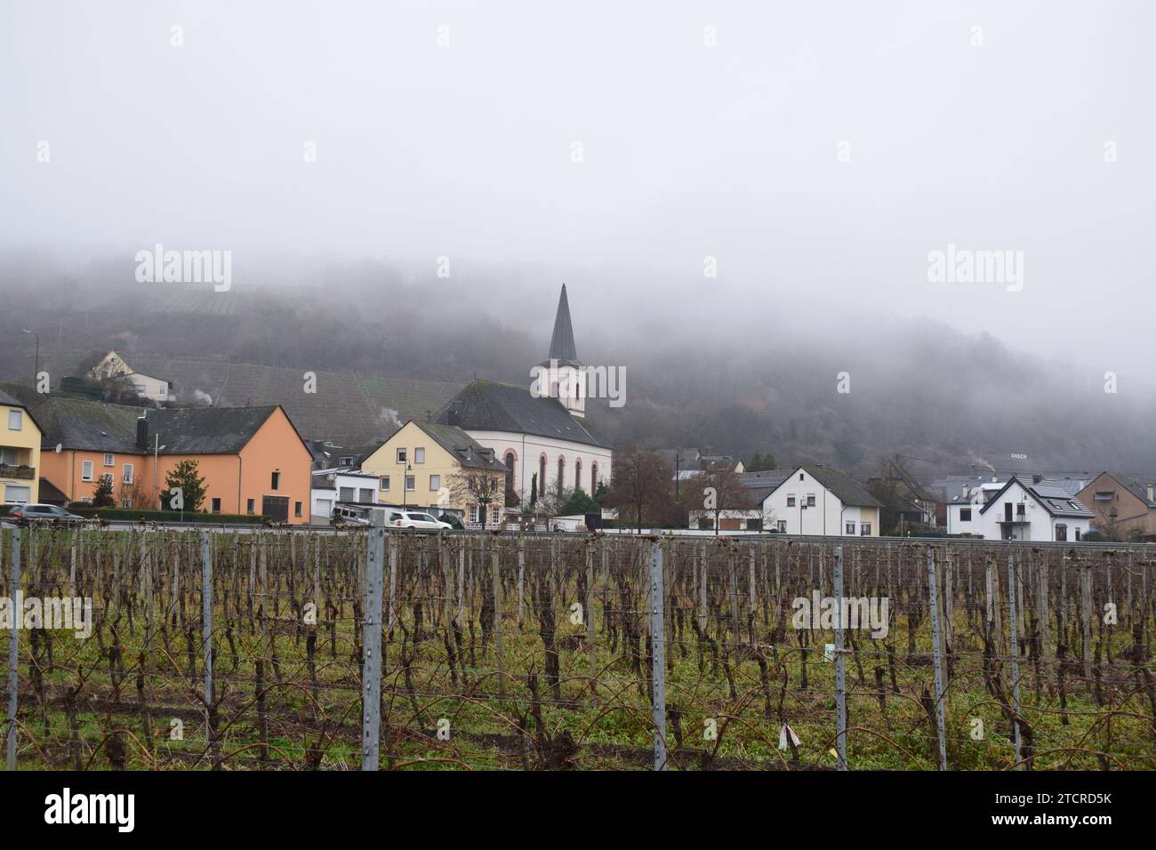 Ensch an der mosel hi-res stock photography and images - Alamy