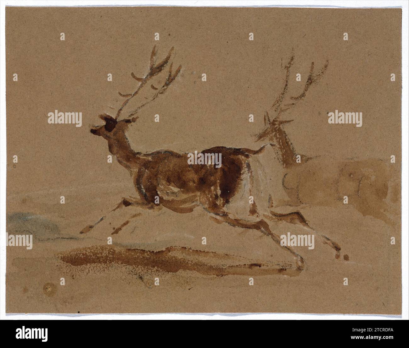 Two stags running hi-res stock photography and images - Alamy