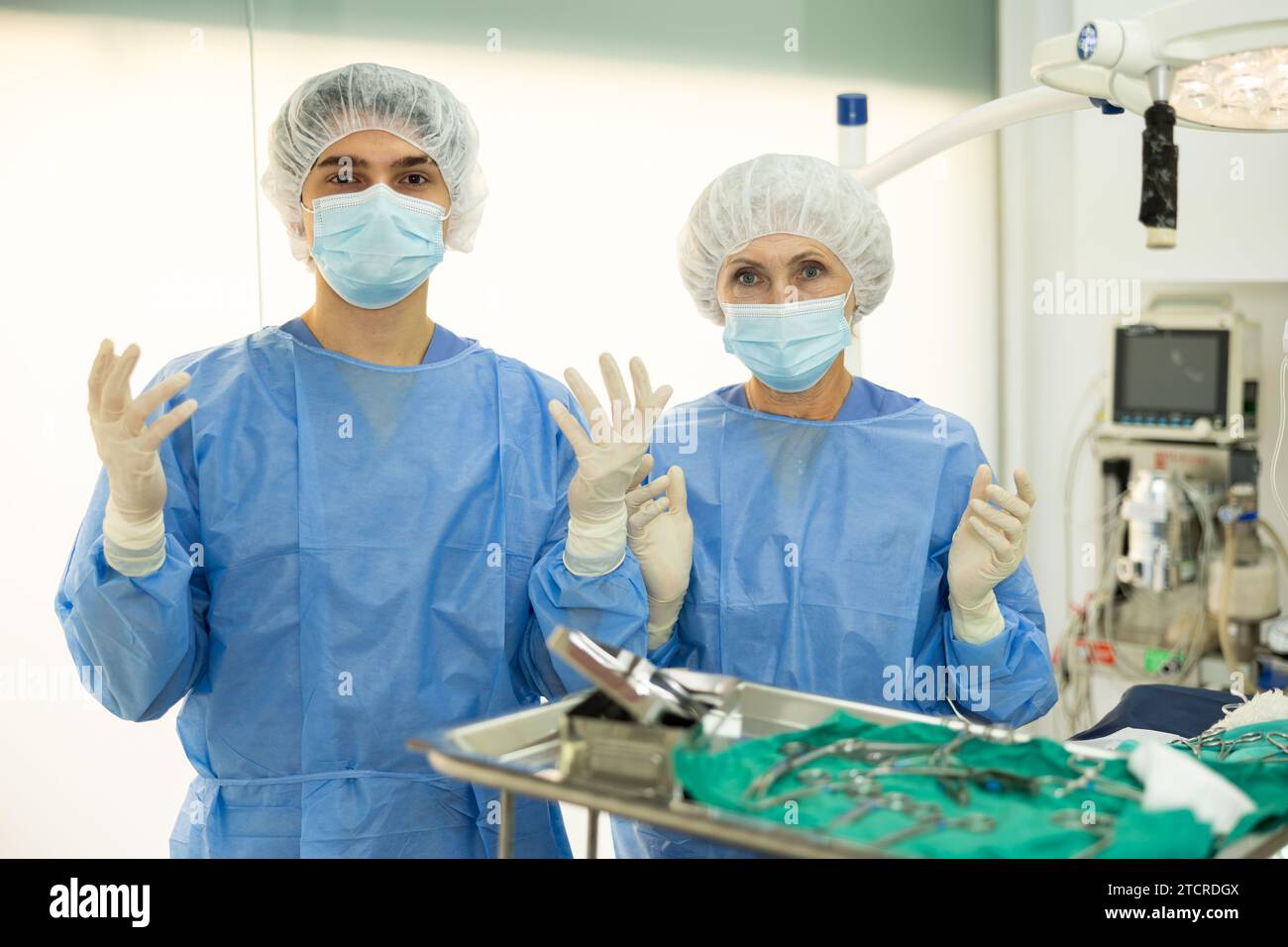 Professional veterinarians ready to conduct surgical operation at ...