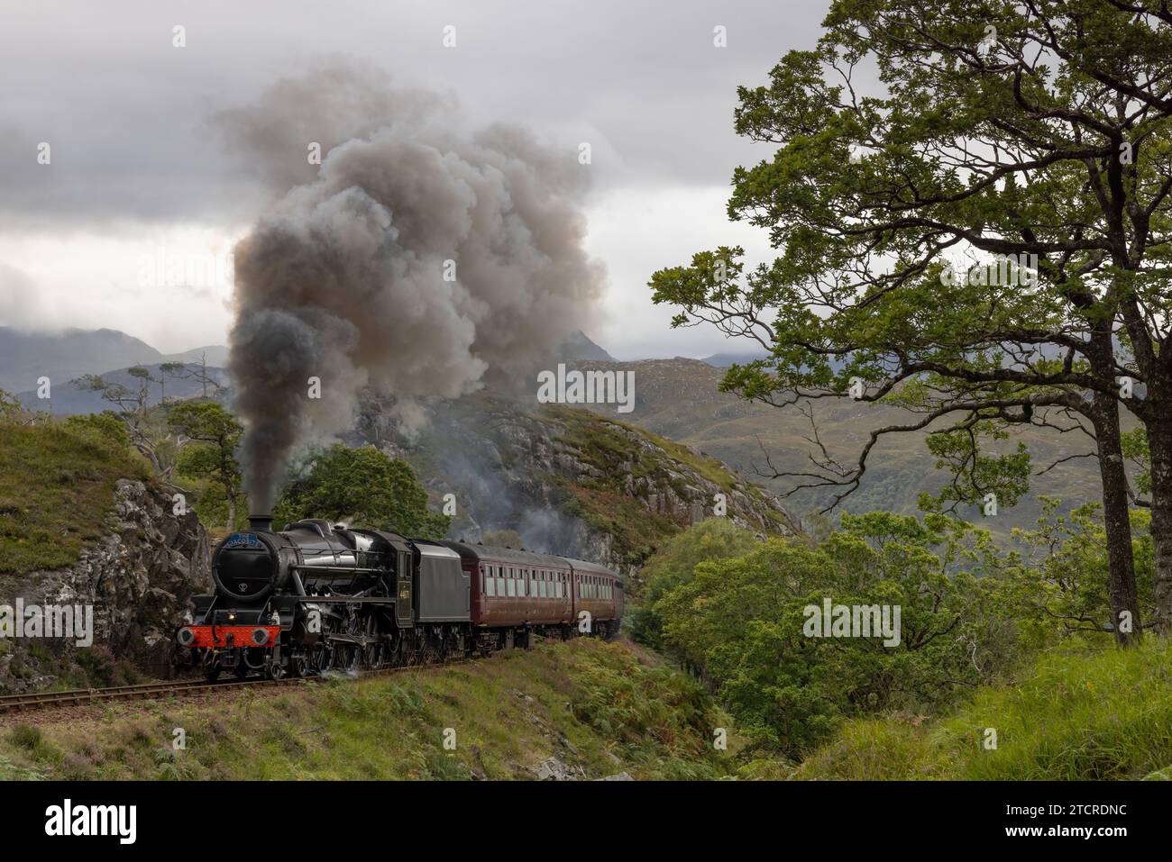 Steam train approaches the camera with billowing steam. Leading lines ...