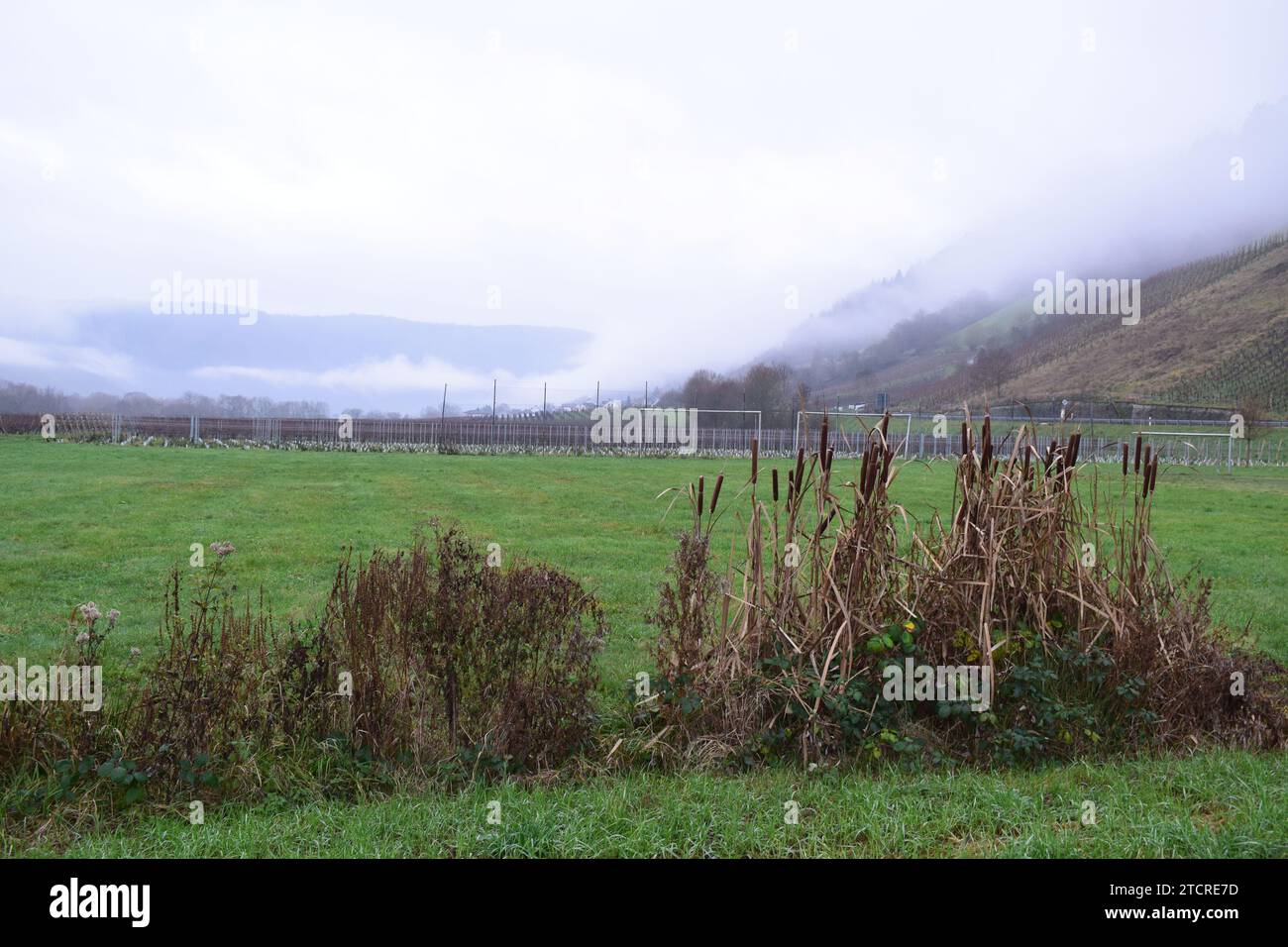Football fog training hi-res stock photography and images - Alamy