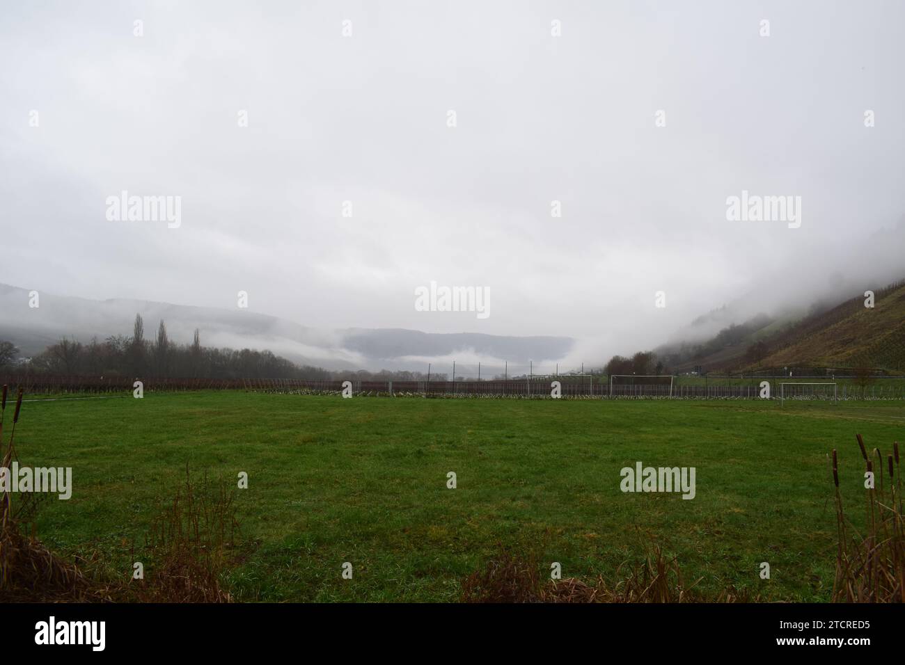 soccer field in fog Stock Photo - Alamy