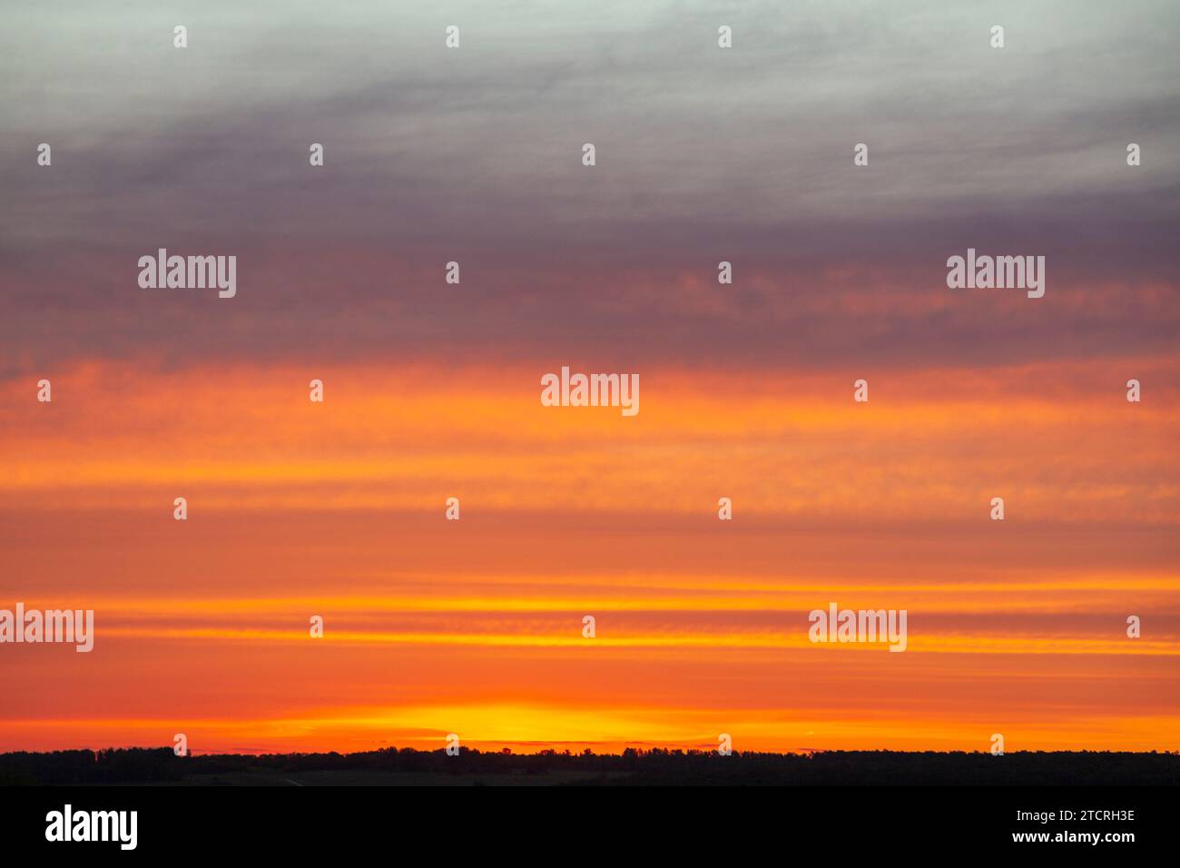 Background image - picturesque sunset sky and forest outline Stock ...