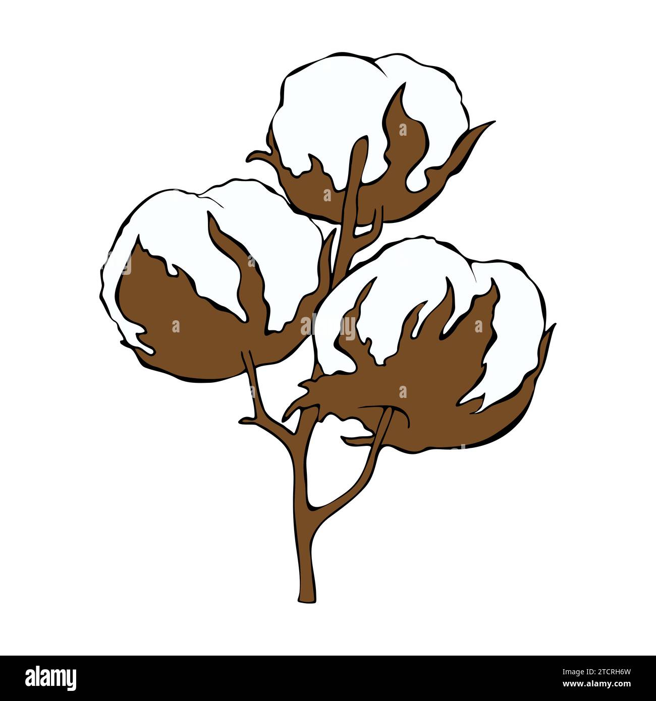 How To Draw Cotton Plant Easy