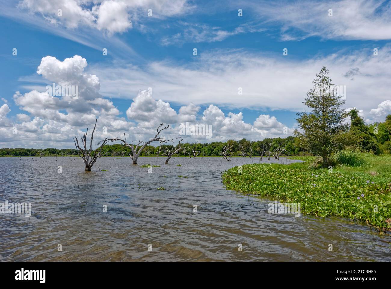 Lake texana hi-res stock photography and images - Alamy