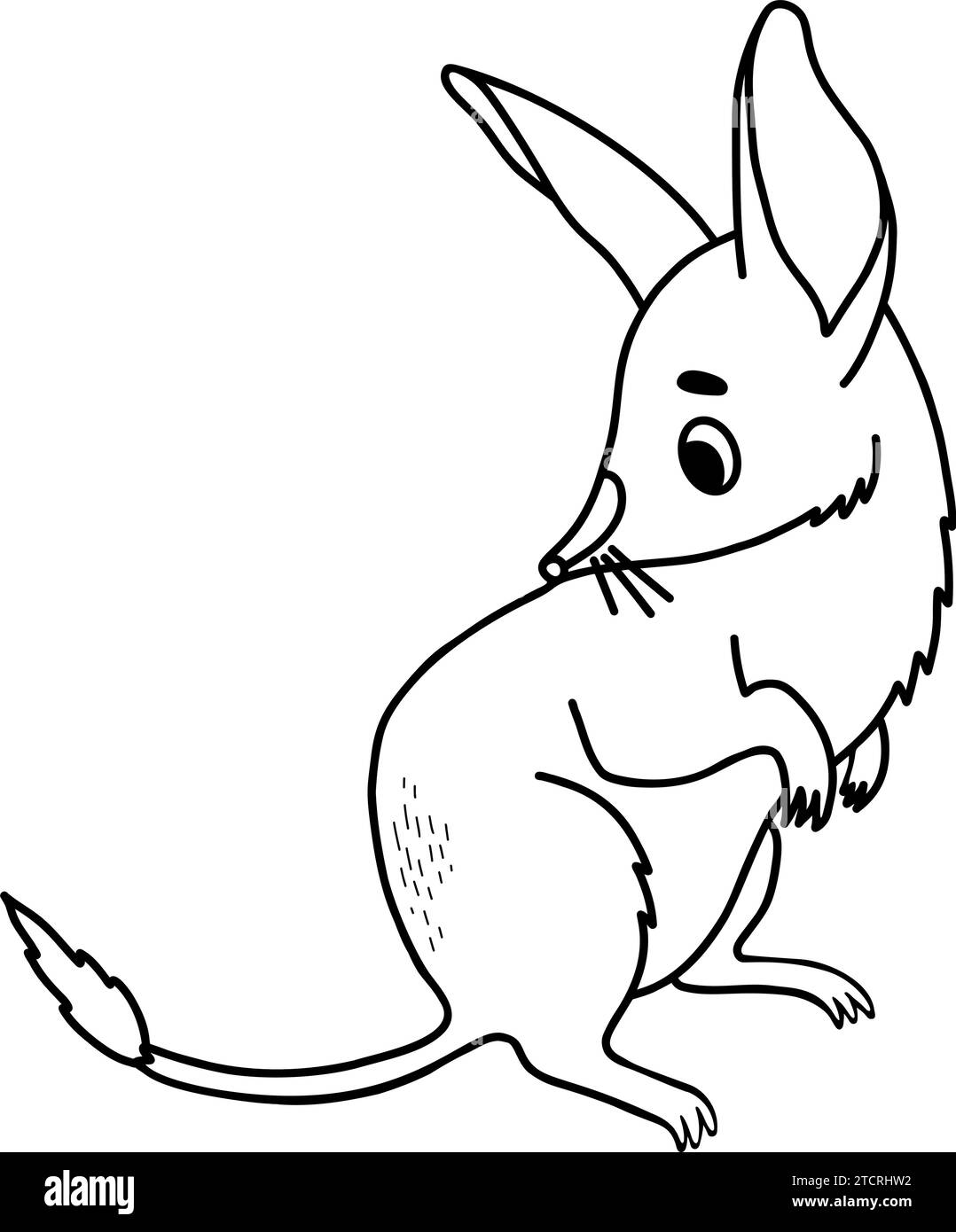 Egg zoology Black and White Stock Photos & Images - Alamy