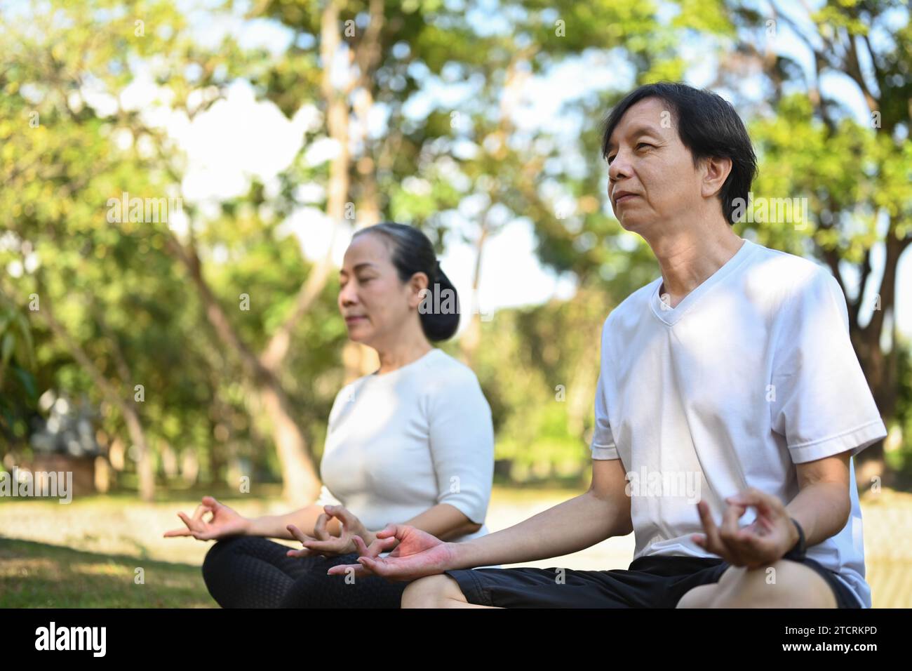 Peaceful senior lady and man practice yoga and breathing exercises with ...