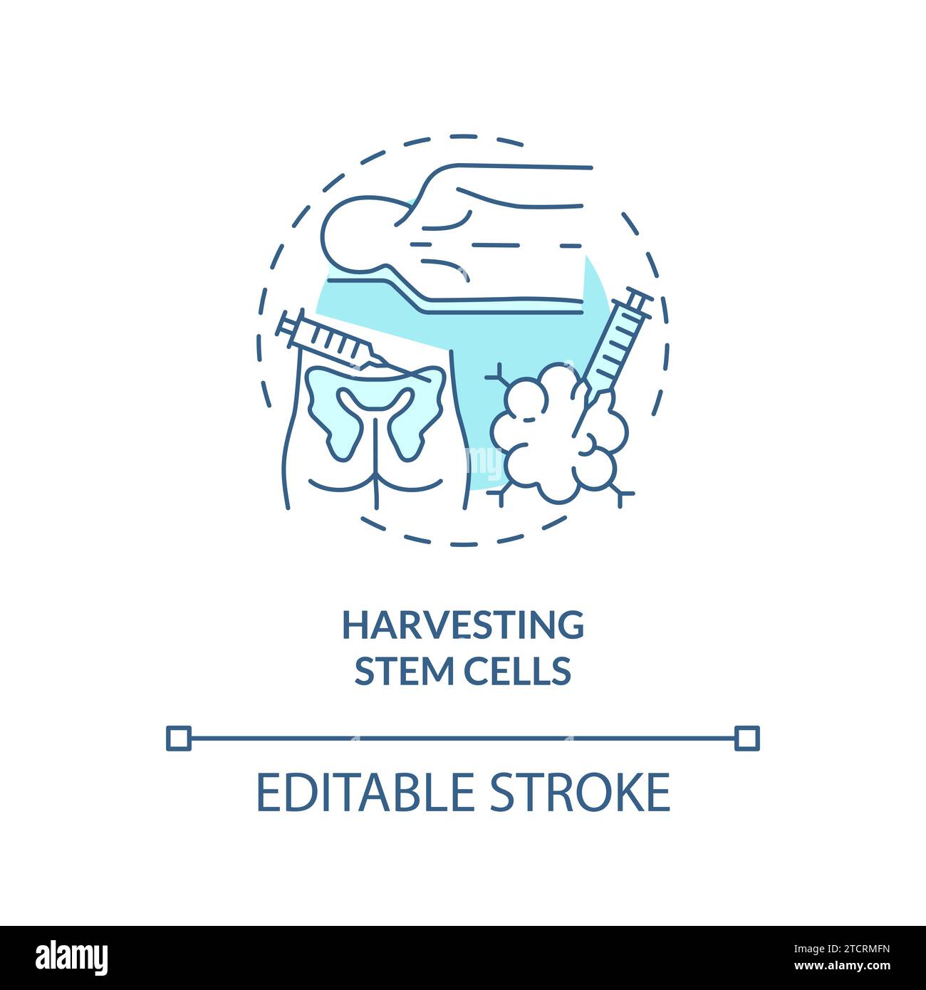 Thin line simple blue harvesting stem cells icon concept Stock Vector Image & Art - Alamy