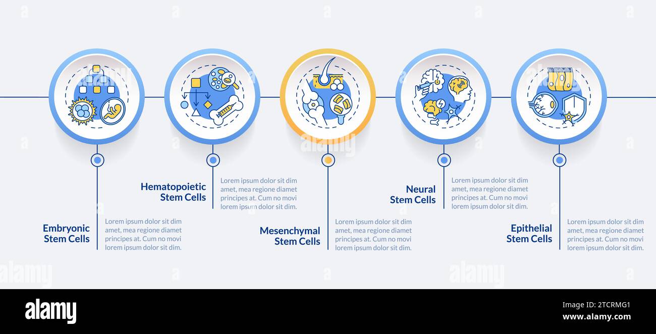 2D cell therapy layout with simple linear icons concept Stock Vector ...