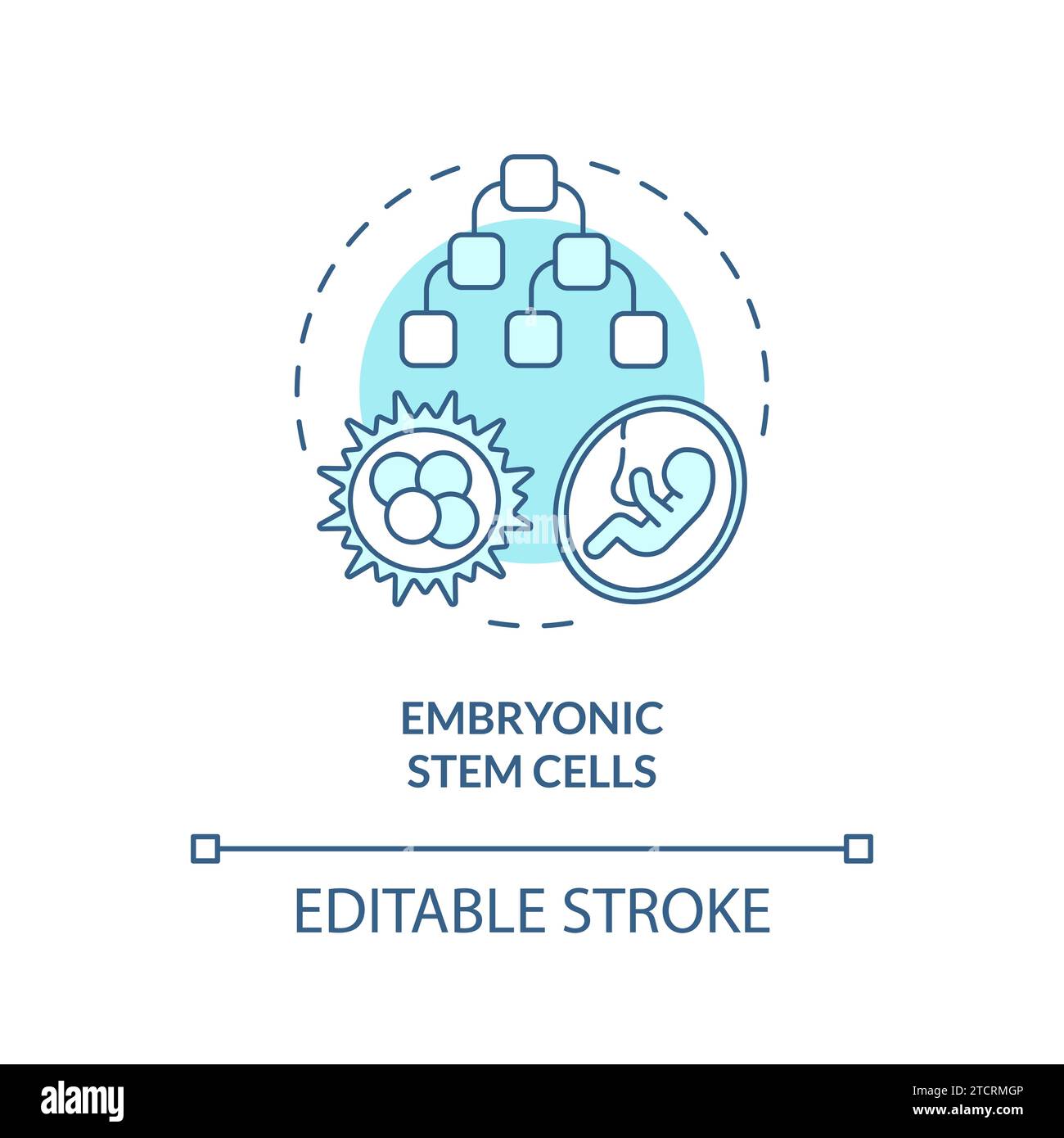 Thin line simple blue embryonic stem cells icon concept Stock Vector ...