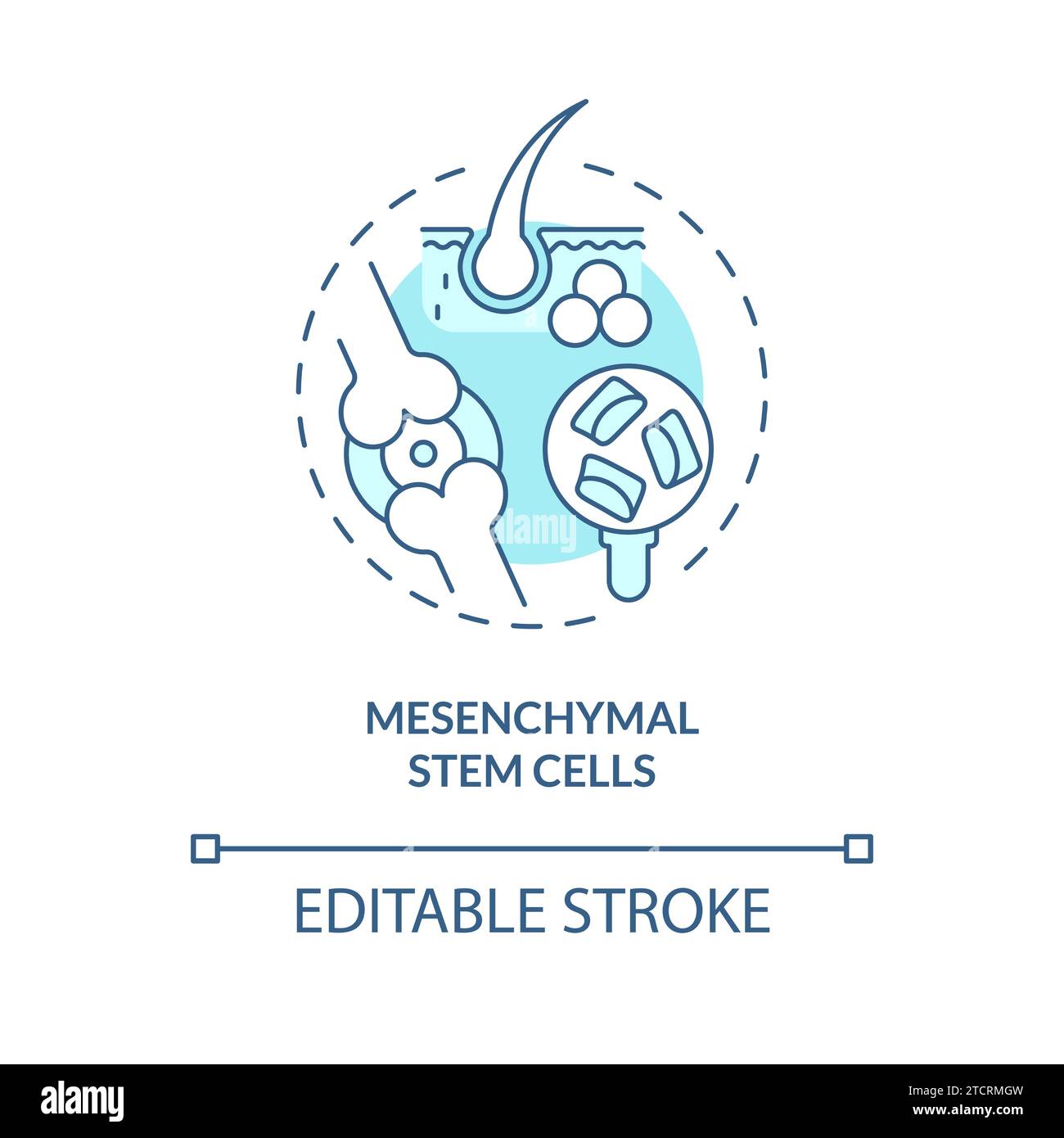 Msc logo Stock Vector Images - Alamy