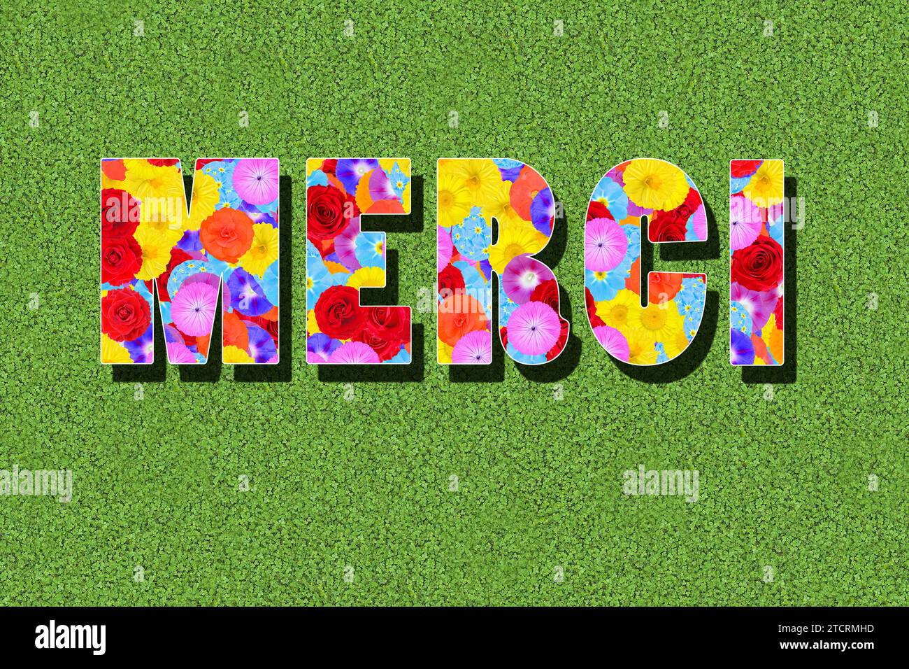 Merci, French for thank you, written with colorful flowers on a green ...