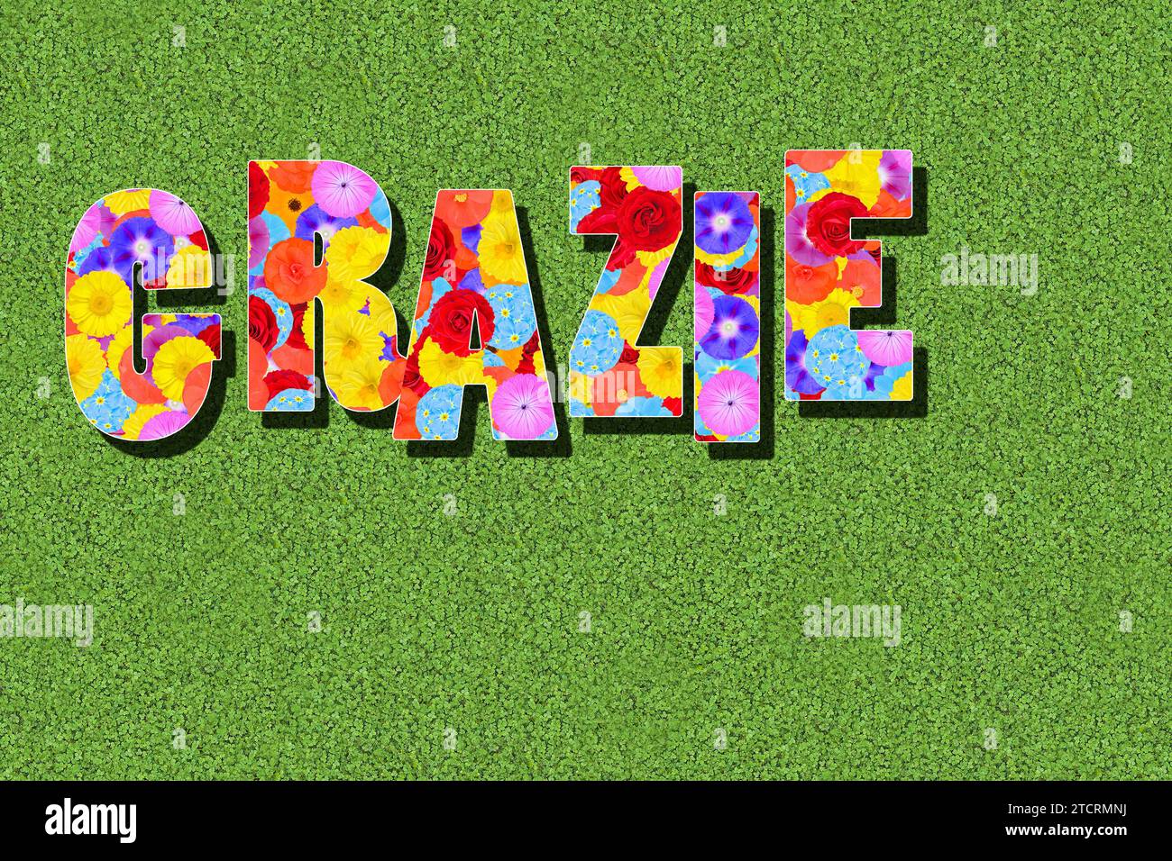 Grazie, italian for thank you, written with colorful flowers on a green ...